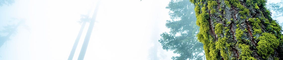 5 Reasons to Switch to CBD – Direct CBD Online