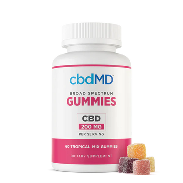 Buy Premium CBD Products & Brands at Direct CBD Online